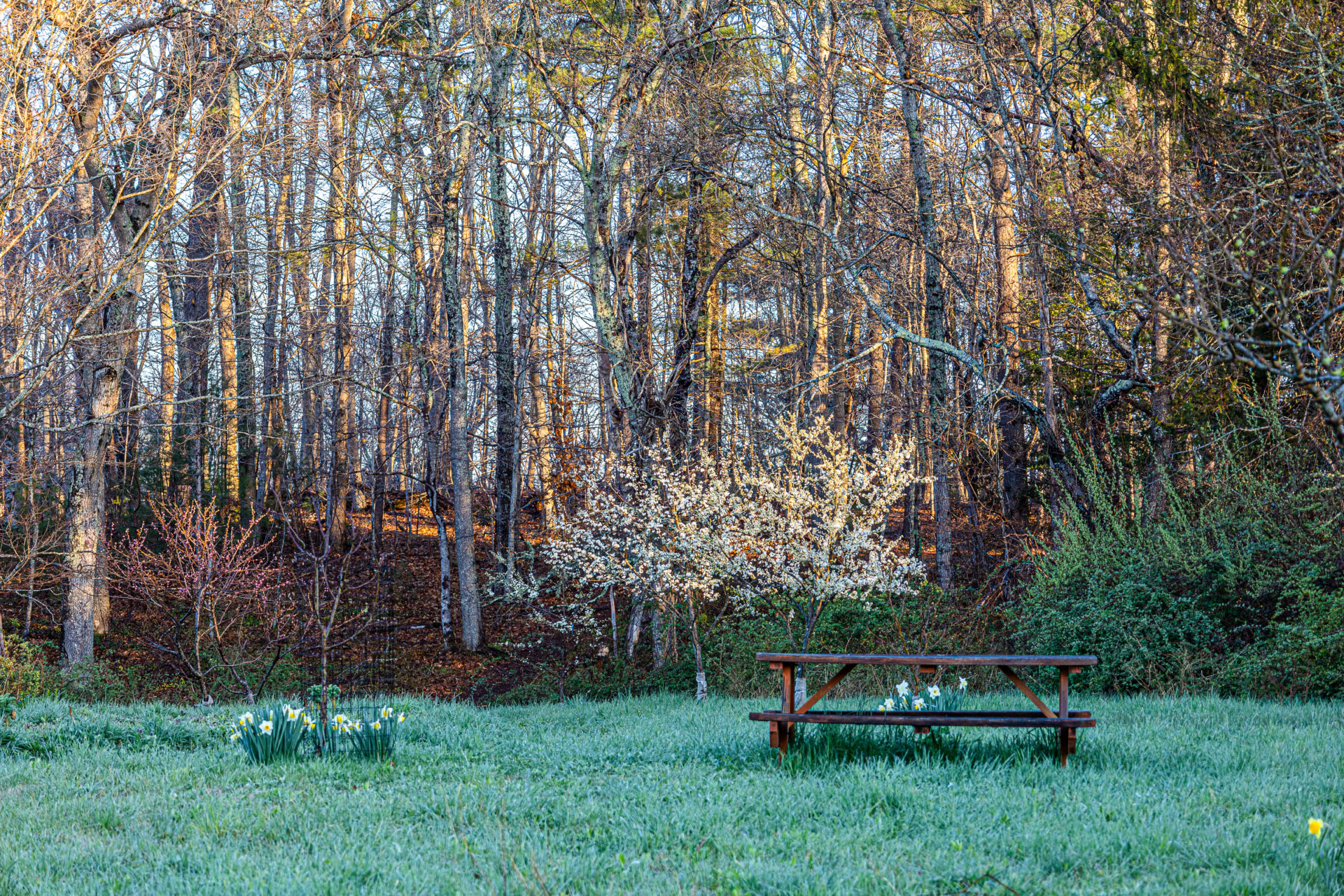 The Signs of Spring! - Westport Land Conservation Trust
