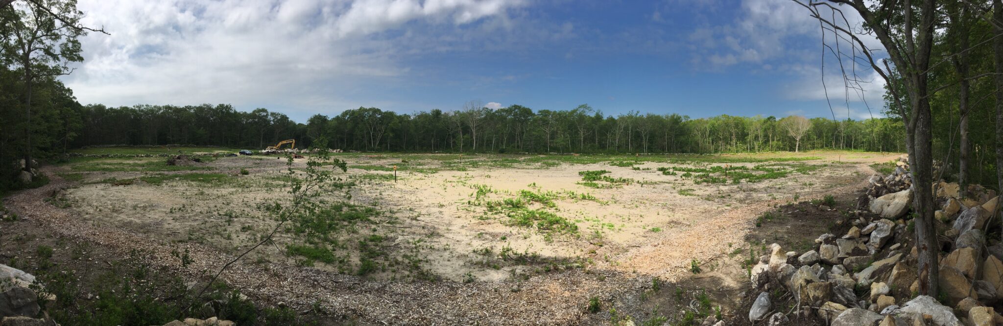 Herb Hadfield Grassland Meadow Restoration - Westport Land Conservation ...